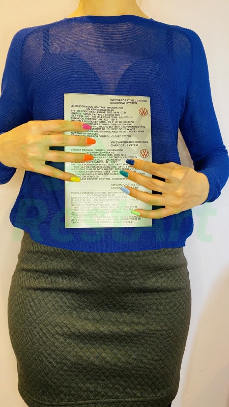 Vehicle Emission Control Information VW Karmann Ghia Sticker – www ...